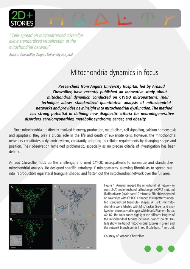 CYTOO Stories Mitochondria | PDF