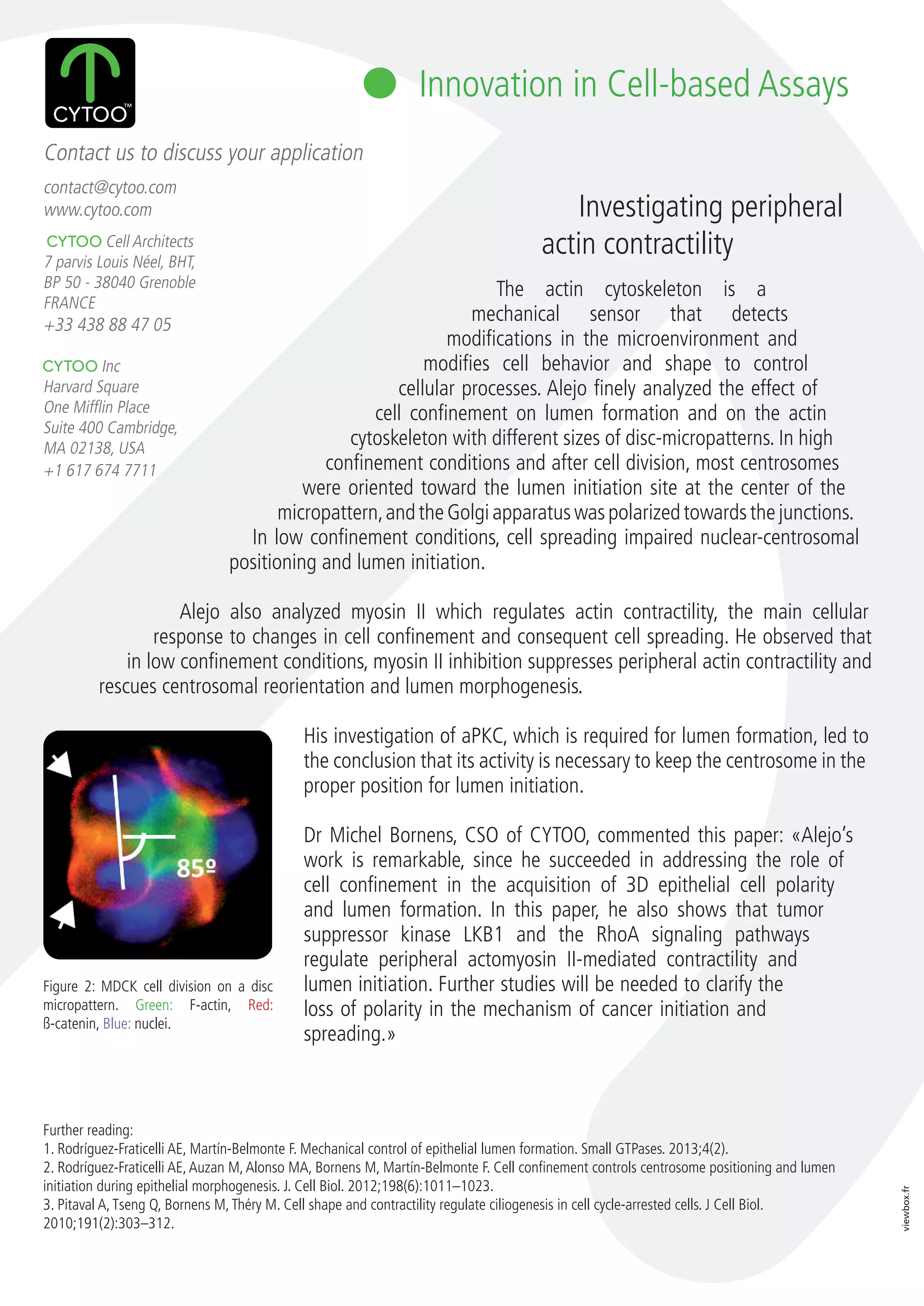 Cytoo story-epithelial-morphogenesis | PDF