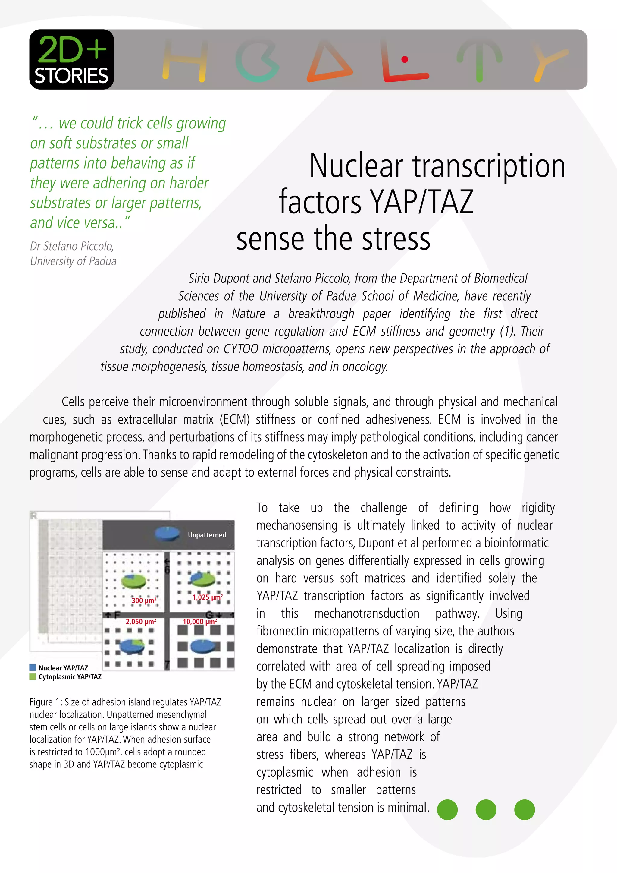 Cytoo Stories YAP/TAZ | PDF | Biological Sciences | Science