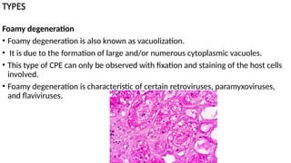 cytopathic effect notes by SANJU SAH.pptx