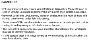 cytopathic effect notes by SANJU SAH.pptx