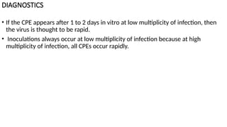 cytopathic effect notes by SANJU SAH.pptx