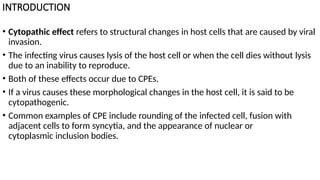 cytopathic effect notes by SANJU SAH.pptx