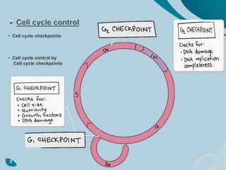 Cytopathology of cancer.pptx