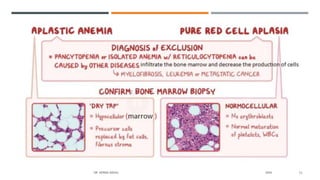 Cytopenia | PPTX