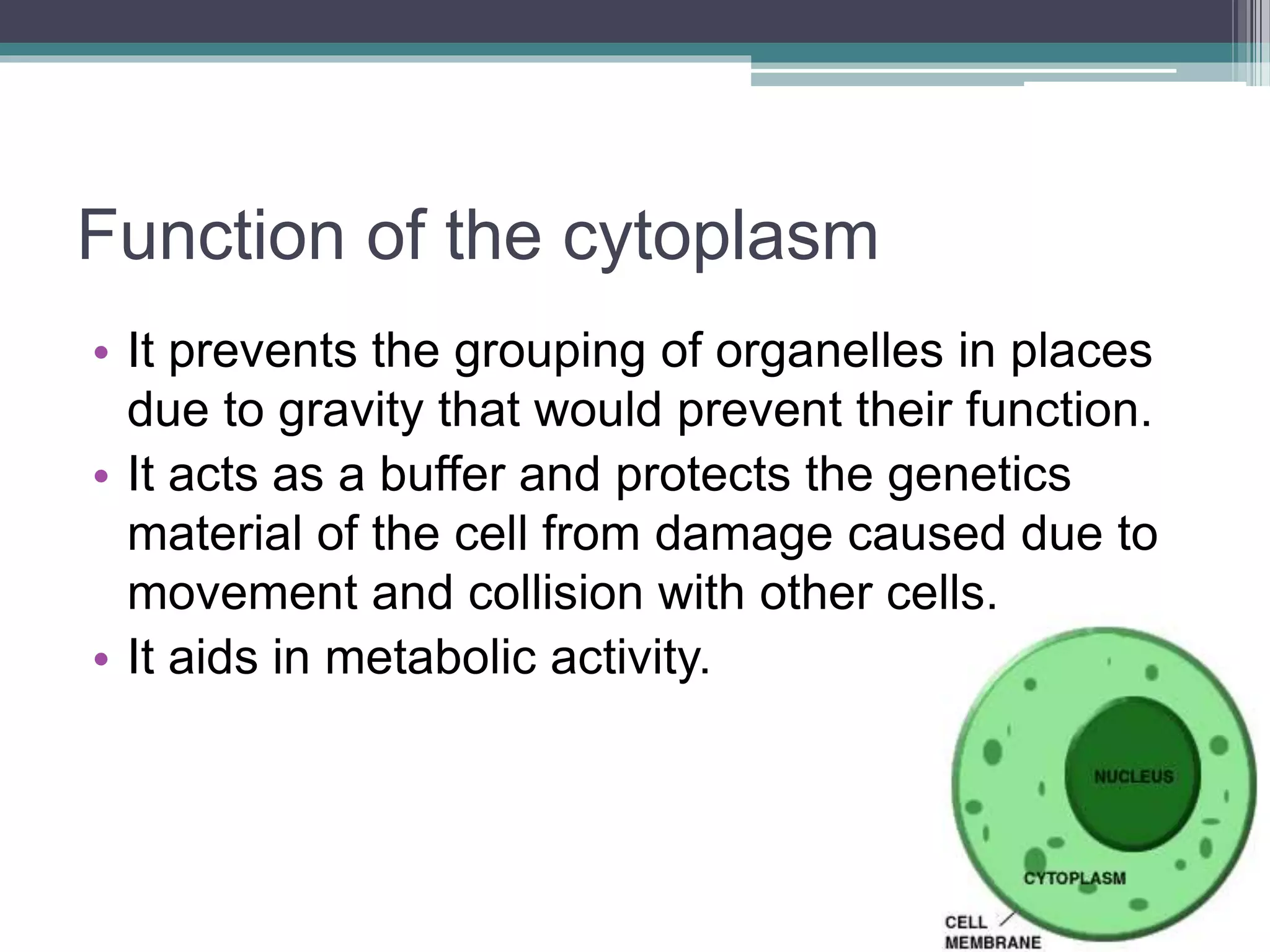 Cytoplasm ppt (introduction structure & function) | PPTX