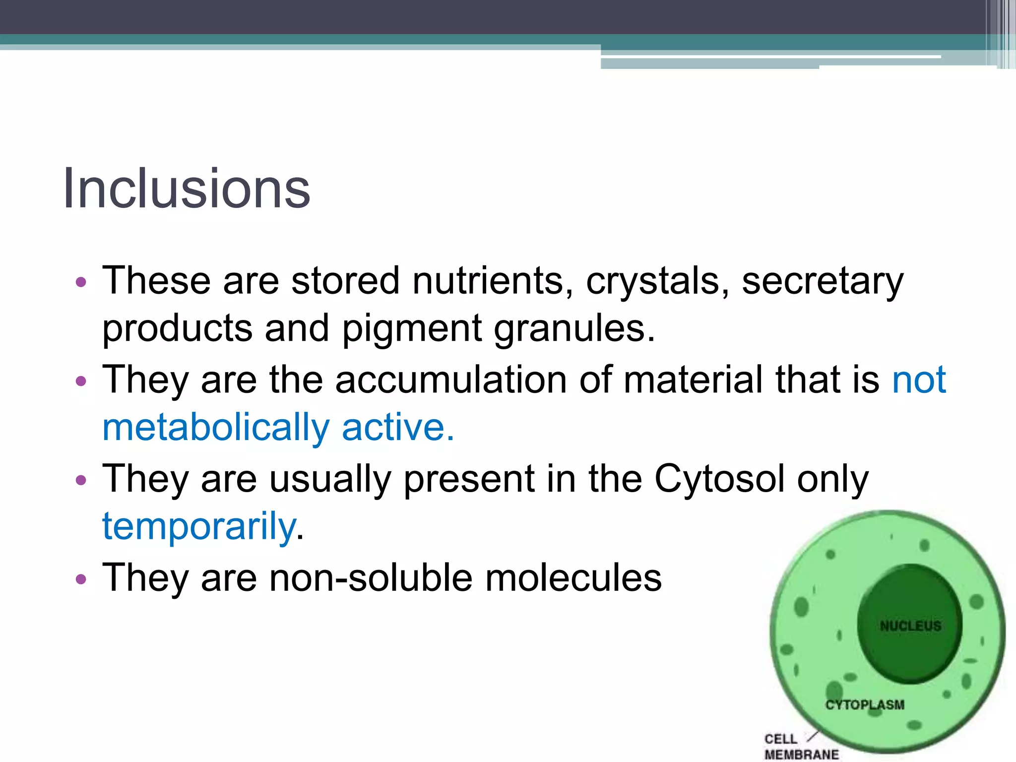 Cytoplasm ppt (introduction structure & function) | PPTX
