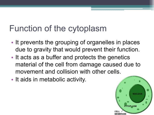 Cytoplasm ppt (introduction structure & function) | PPTX