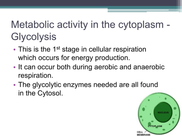 Cytoplasm ppt (introduction structure & function) | PPTX