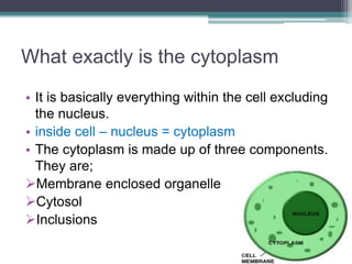 Cytoplasm ppt (introduction structure & function) | PPTX
