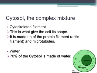 Cytoplasm ppt (introduction structure & function) | PPTX