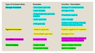 Cytoskeleton: The Structural Framework of the Cell | PPTX