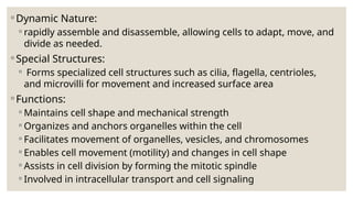 Cytoskeleton: The Structural Framework of the Cell | PPTX