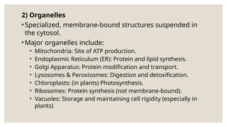 Cytoskeleton: The Structural Framework of the Cell | PPTX