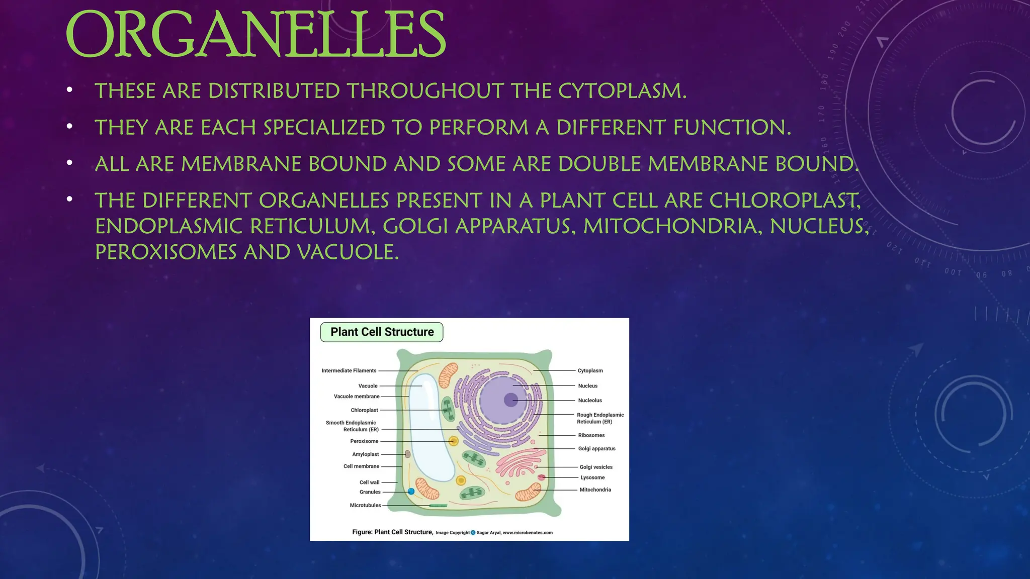 cytoplasm and its use and functions.pptx