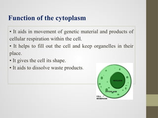 cell biology, structure and functions of Cytoplasm (2).pptx