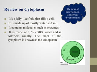 cell biology, structure and functions of Cytoplasm (2).pptx