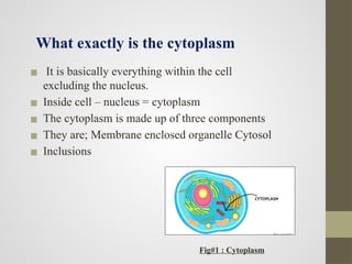cell biology, structure and functions of Cytoplasm (2).pptx