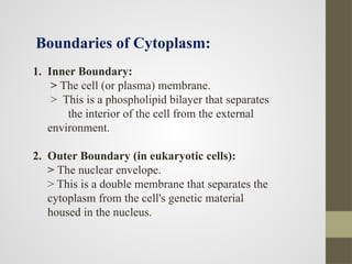 Structure and Functions of Cytoplasm (2).pptx