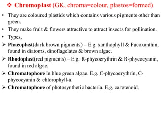 Cytoplasm & cell organelles By Manoj Dhital (M.Sc Medical Microbiology ...
