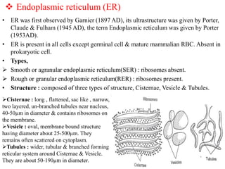Cytoplasm & cell organelles By Manoj Dhital (M.Sc Medical Microbiology ...