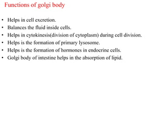 Cytoplasm & cell organelles By Manoj Dhital (M.Sc Medical Microbiology ...