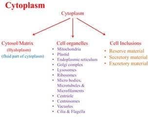 Cytoplasm & cell organelles By Manoj Dhital (M.Sc Medical Microbiology ...