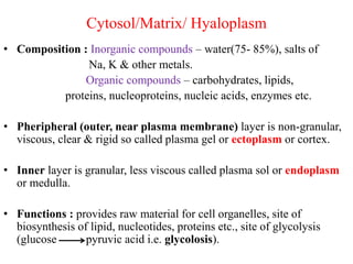 Cytoplasm & cell organelles By Manoj Dhital (M.Sc Medical Microbiology ...