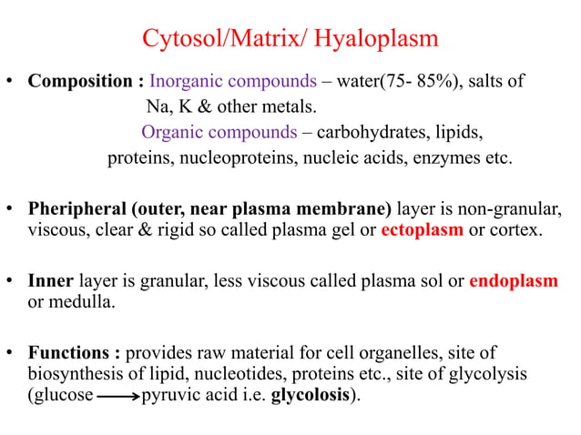 Cytoplasm & cell organelles By Manoj Dhital (M.Sc Medical Microbiology ...