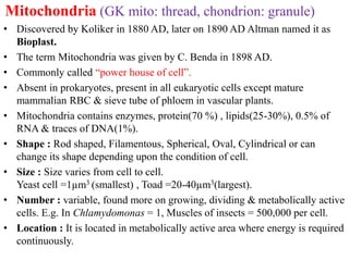Cytoplasm & cell organelles By Manoj Dhital (M.Sc Medical Microbiology ...