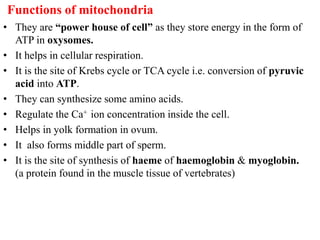 Cytoplasm & cell organelles By Manoj Dhital (M.Sc Medical Microbiology ...