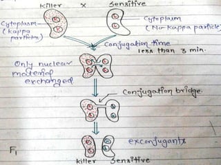 Cytoplasmic inheritance | PPTX