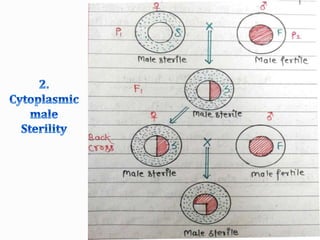 Cytoplasmic inheritance | PPTX