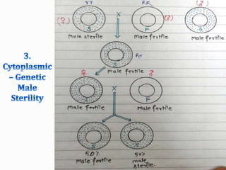 Cytoplasmic inheritance | PPTX