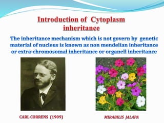 Cytoplasmic inheritance | PPTX