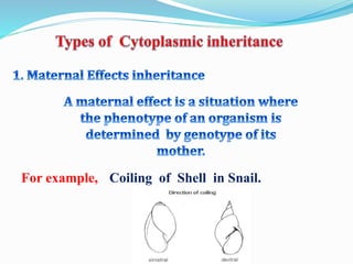 Cytoplasmic inheritance | PPTX