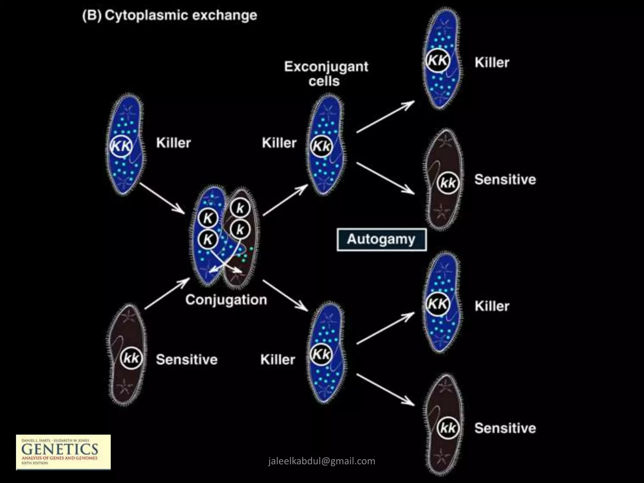 Cytoplasmic inheritance | PPTX