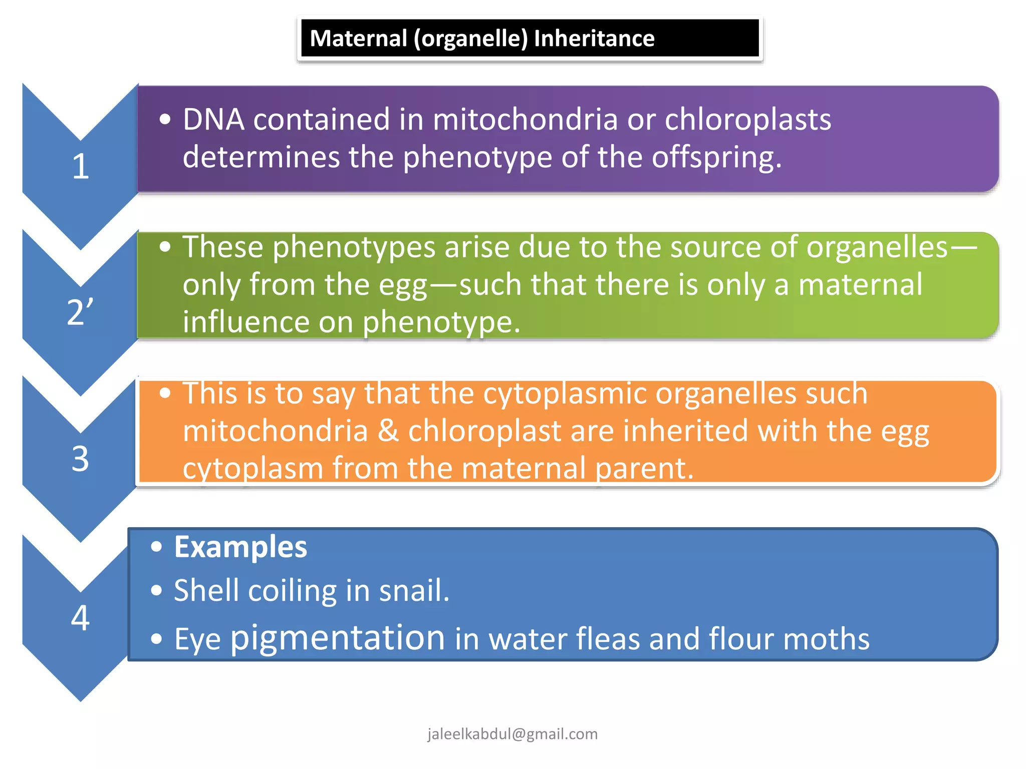 Cytoplasmic inheritance | PPTX