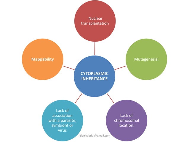 Cytoplasmic inheritance | PPTX | Biological Sciences | Science