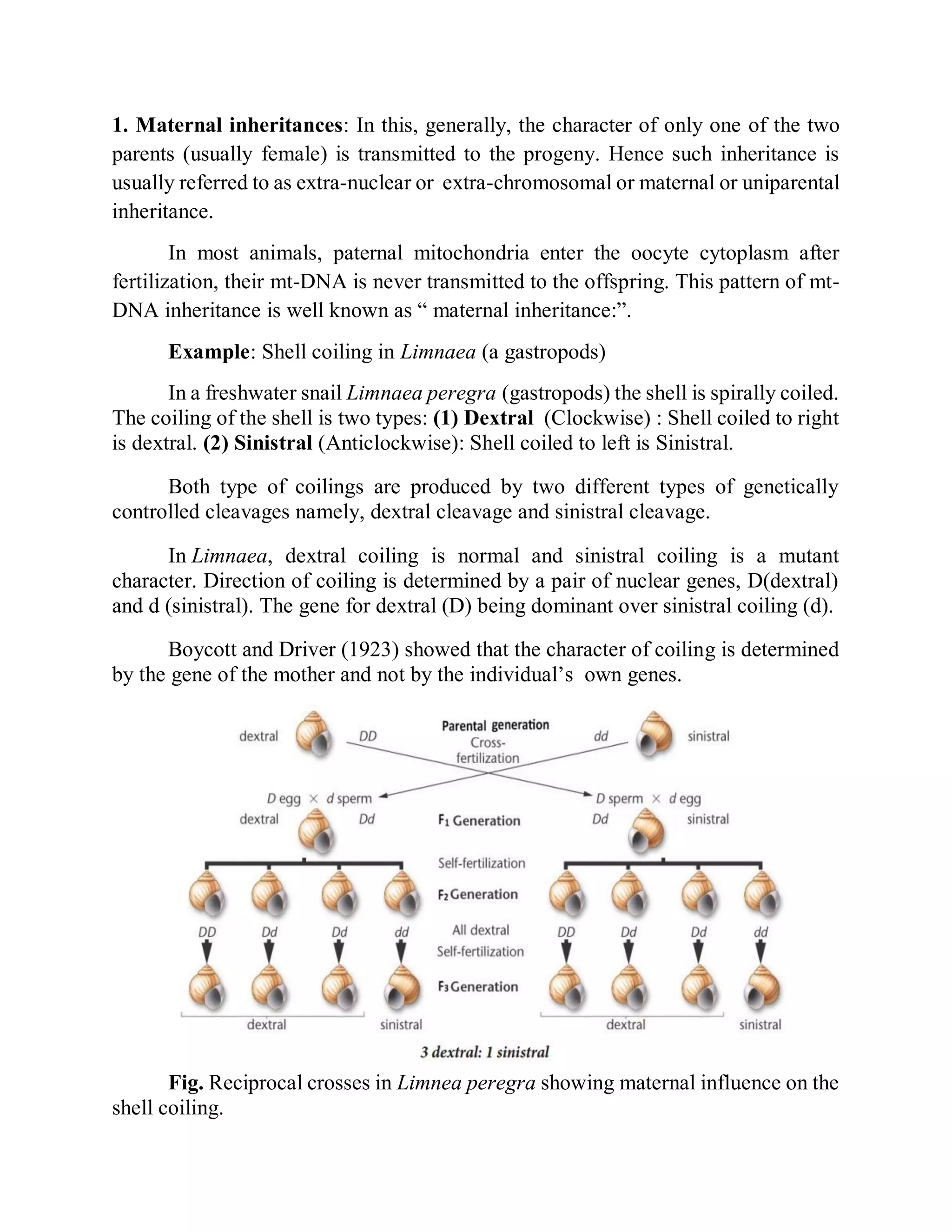 Cytoplasmic Inheritance.pdf
