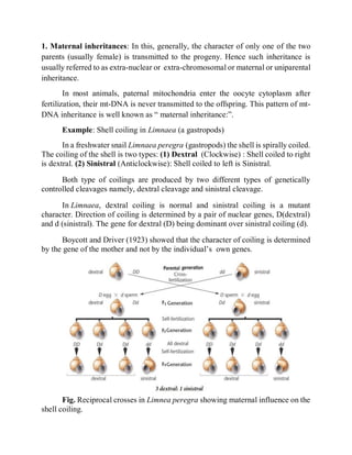 Cytoplasmic Inheritance.pdf