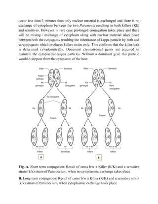 Cytoplasmic Inheritance.pdf