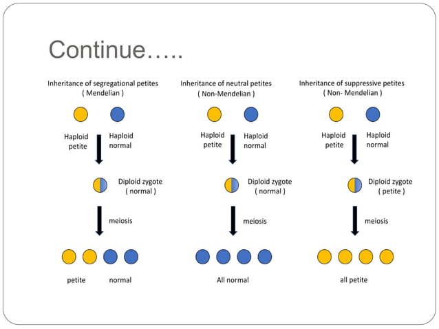cytoplasmic inheritance.pptx