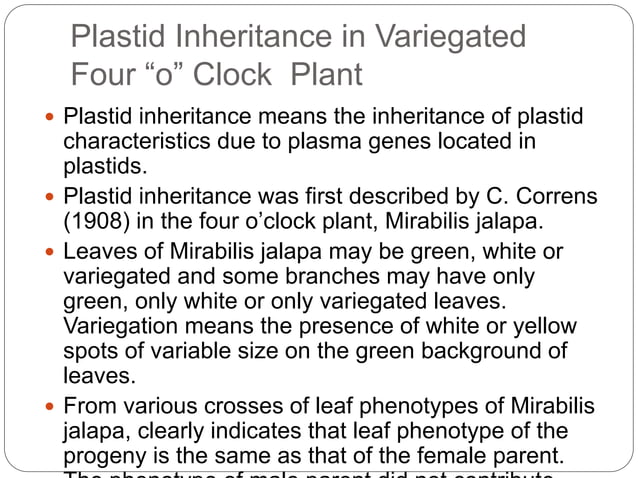 cytoplasmic inheritance.pptx