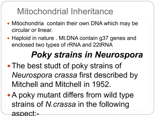 cytoplasmic inheritance.pptx