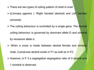 Cytoplasmic Inheritance : Shell coiling in Snail & Kappa particles in ...