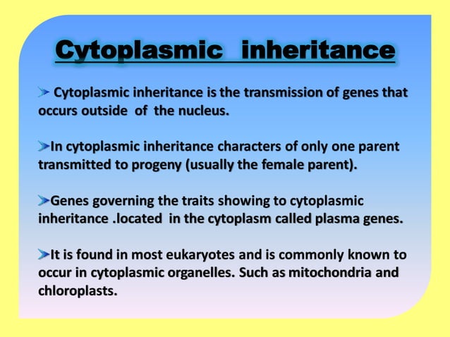 CYTOPLASMIC INHERITANCE WITH REFERENCETO MITOCHONDRIAL INHERITANCE IN YEAST | PDF | Genetics ...