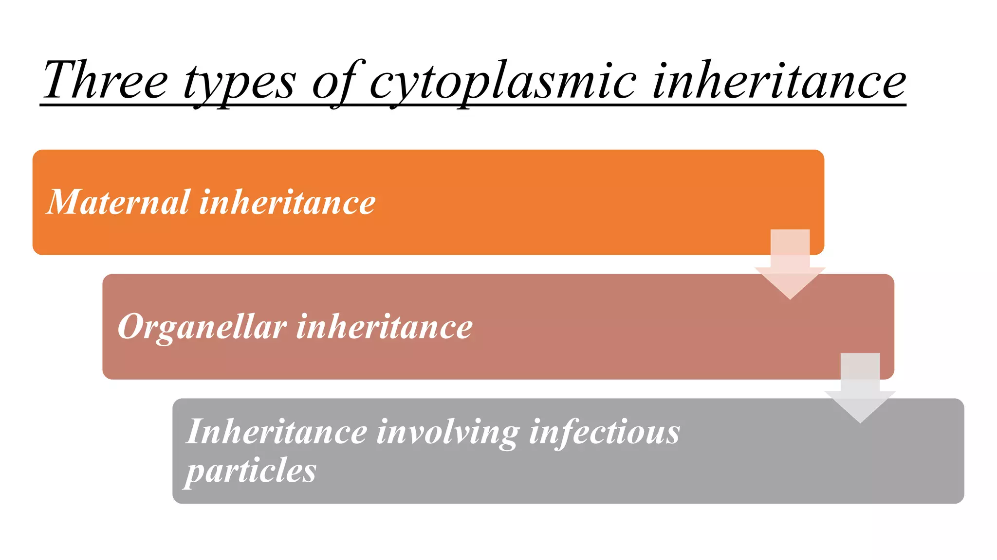 Cytoplasmic inheritance and extra chromosomal inheritance | PPTX