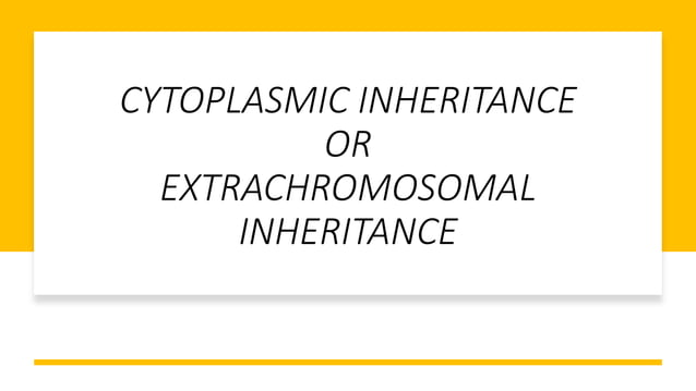 Cytoplasmic inheritance and extra chromosomal inheritance | PPTX | Genetics | Science