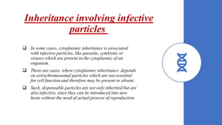 Cytoplasmic inheritance and extra chromosomal inheritance | PPTX